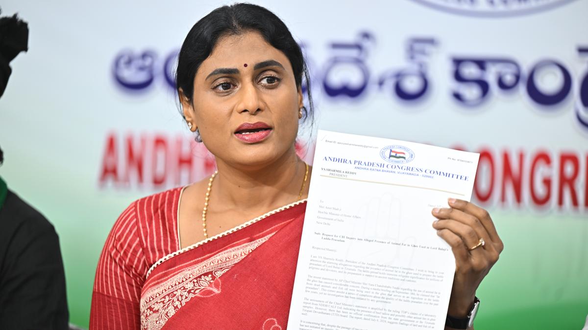 Tirumala laddu row: Sharmila questions Naidu’s ‘silence’ for two months - The Hindu